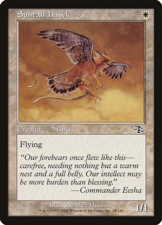 Suntail Hawk - Judgment - Magic: The Gathering - TCGplayer.com