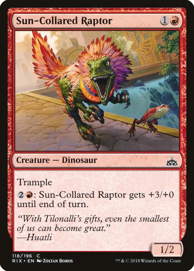 Sun-Collared Raptor - Rivals of Ixalan - Magic: The Gathering ...