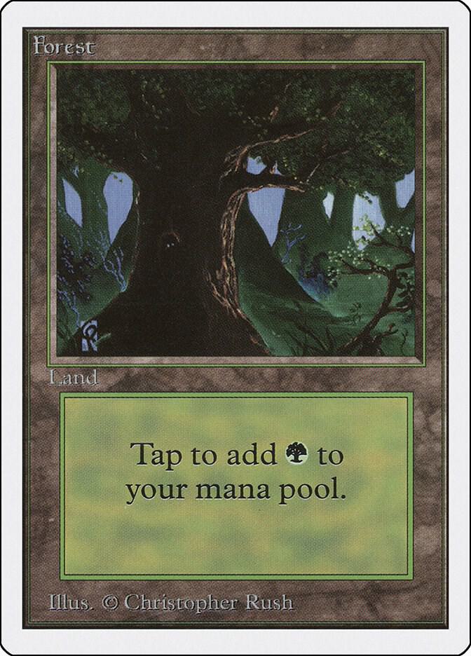 Forest (C) - Unlimited Edition - Magic: The Gathering - TCGplayer.com