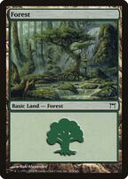 Forest (304) - Champions of Kamigawa - Magic: The Gathering - TCGplayer.com