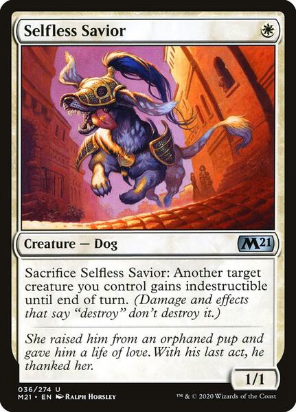 How to Build a Dog Commander Deck in MTG | TCGplayer