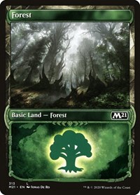 Forest (Showcase) | Core Set 2021 | Fizzy Game & Hobby Store