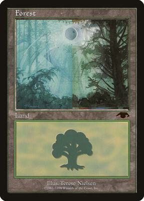 Forest - Guru - Guru Lands - Magic: The Gathering - TCGplayer.com