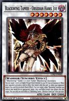 Blackwing Tamer - Obsidian Hawk Joe - Legendary Duelists: Season 2 ...
