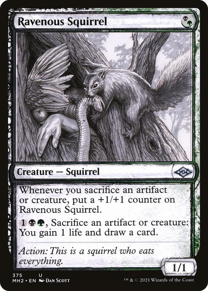 Ravenous Squirrel (Showcase) - Modern Horizons 2 - Magic: The Gathering ...