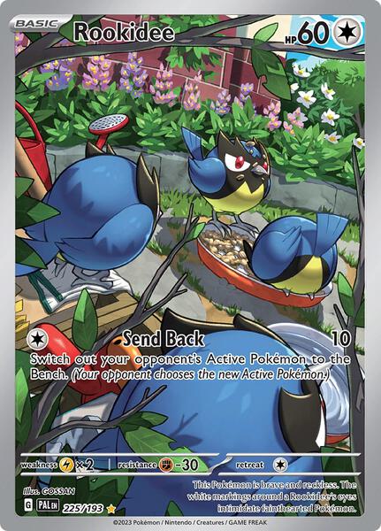 Rookidee - 225/193 - SV02: Paldea Evolved - Pokemon - TCGplayer.com