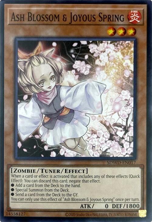 Secreterion Dragon - Duelist's Advance - YuGiOh - TCGplayer.com