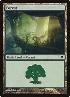 Forest (246a) - Zendikar - Magic: The Gathering - TCGplayer.com