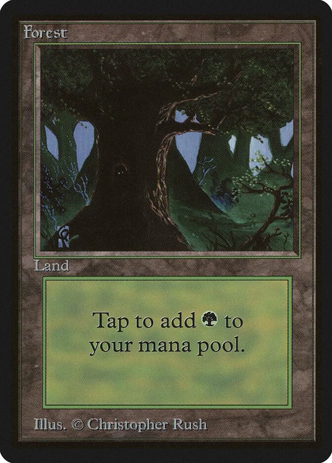 Forest (C) - Beta Edition - Magic: The Gathering - TCGplayer.com
